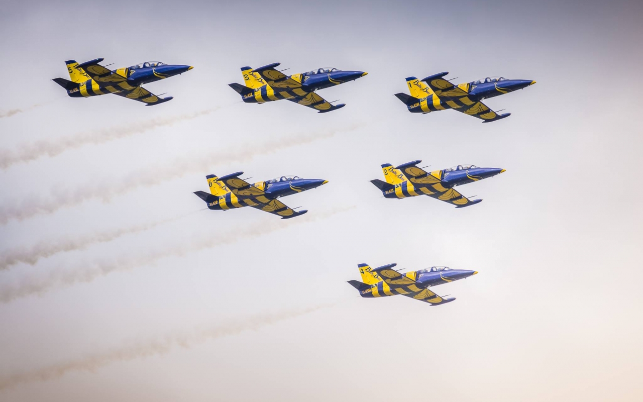 Media — Baltic Bees