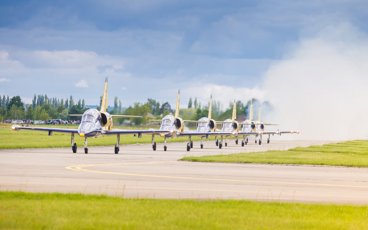 Media — Baltic Bees